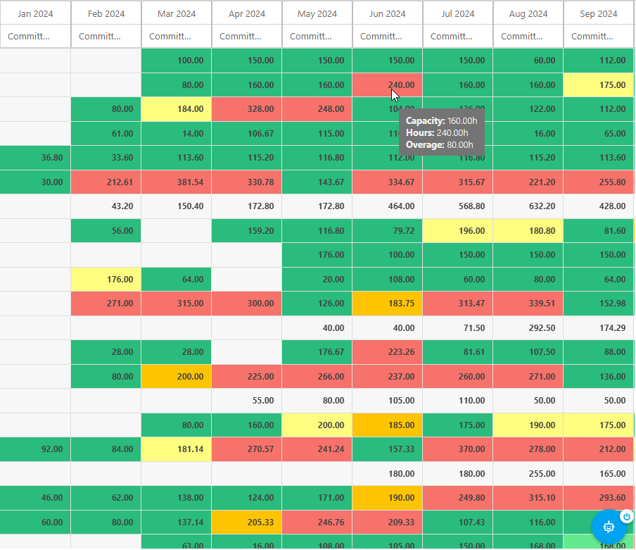 Execution - Resource Plan – Support